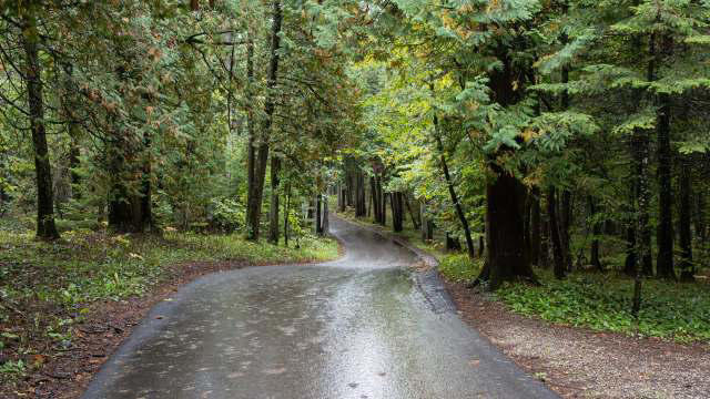Motorist hits wild animal in shocking late-night collision: 'We do not ...