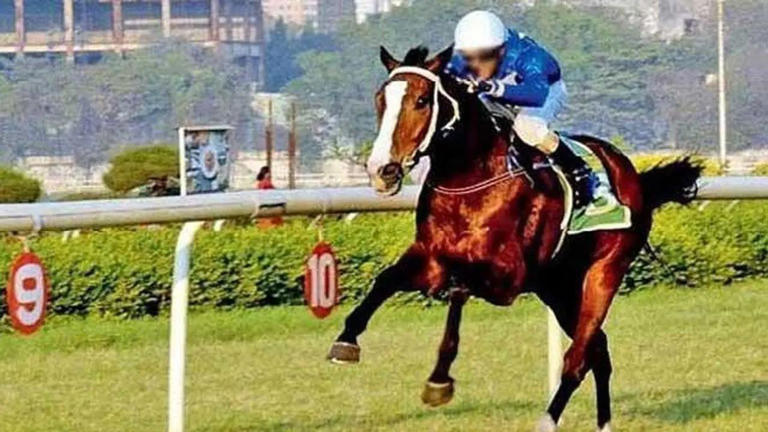 Miss American Pie for Mulraj Goculdas Trophy