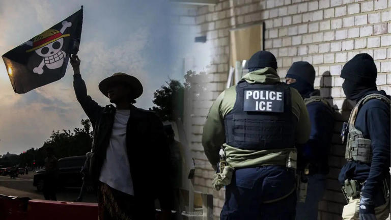 Straw Hat Pirates Jolly Roger appears at Minneapolis anti-ICE protest ...
