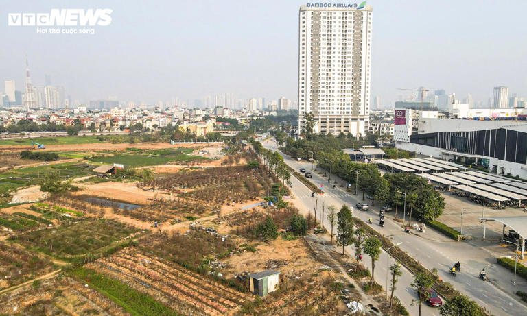 Người dân 'thủ phủ' trồng đào ở Hà Nội tất bật chuẩn bị cho Tết Nguyên đán