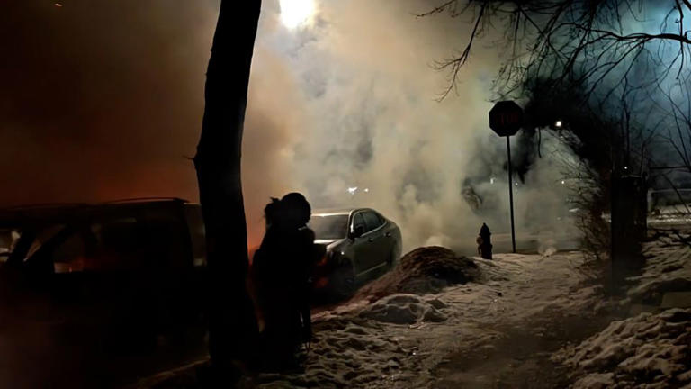 Mother of tear-gassed family faces backlash as video raises questions ...