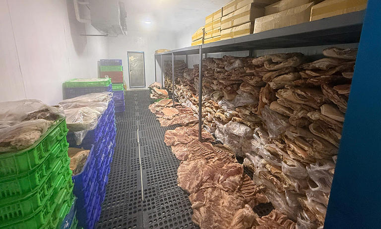 Over 50 tons of pork sold as premium Australian meat in Vietnam, police say