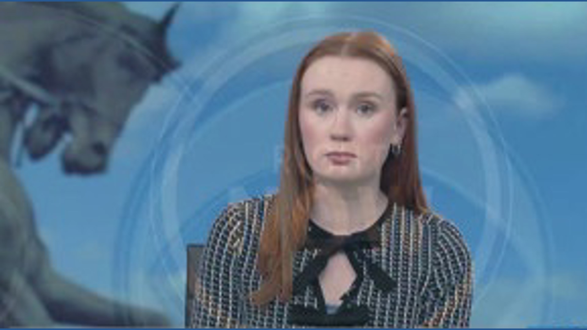 LeFlore County Sheriff’s arrest Pocola police officer while on duty