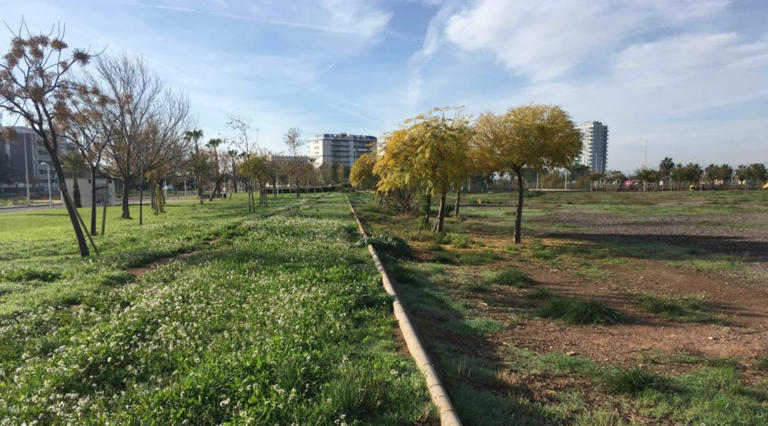 Moncofa estrenará el IES Palafangues a finales de 2027 y asume el reto ...