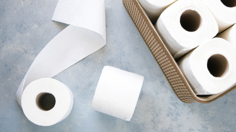 The gorgeous toilet paper storage solution that comes from a budget ...