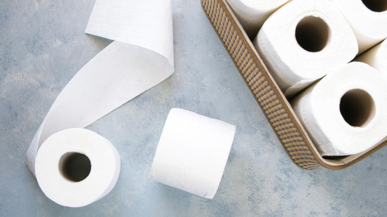 The gorgeous toilet paper storage solution that comes from a budget ...