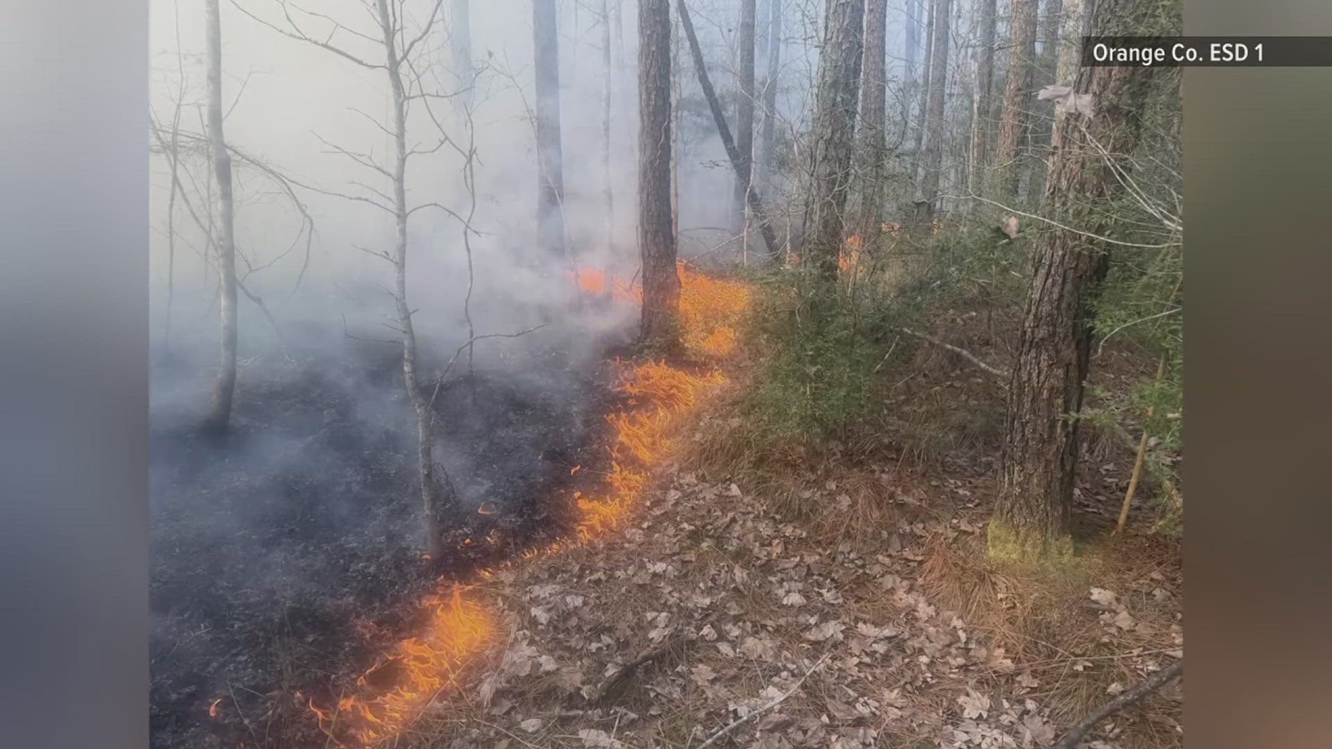 Wildfire in Orange County contained after joint emergency response