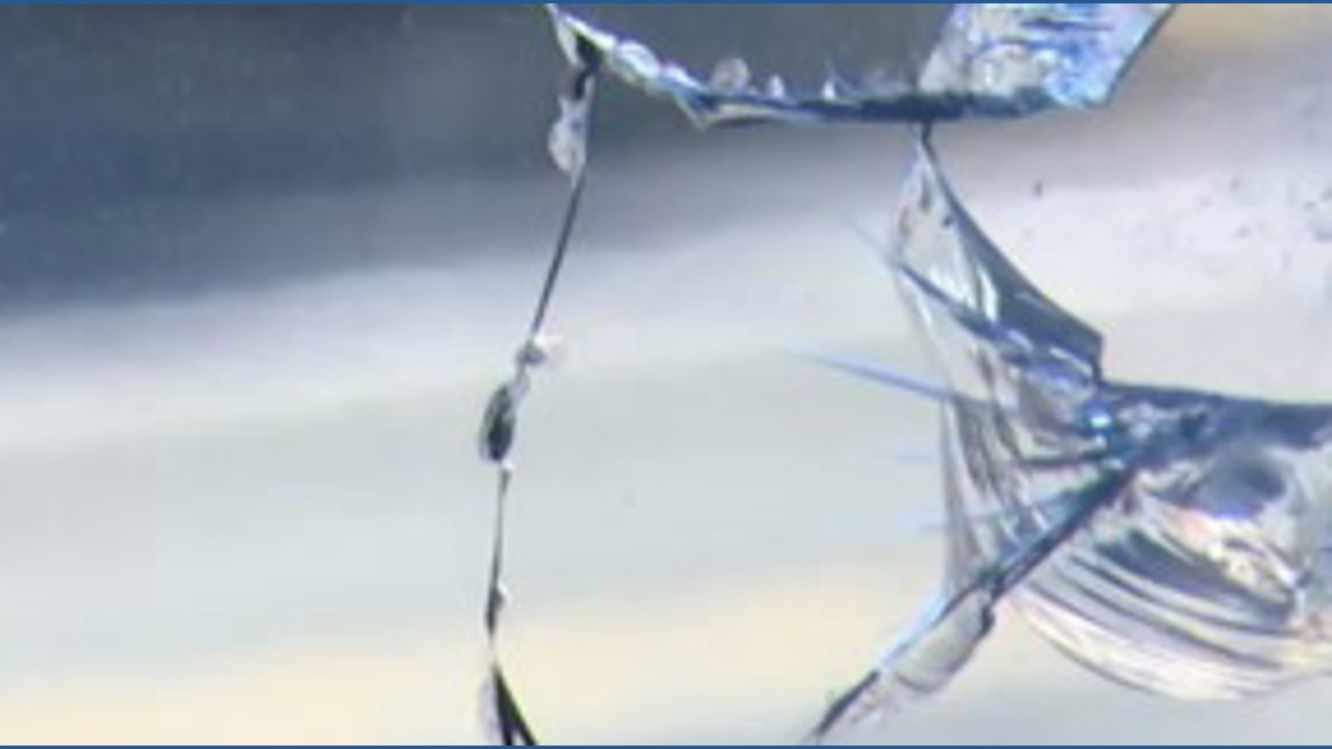 Seattle police investigate deadly CID shooting