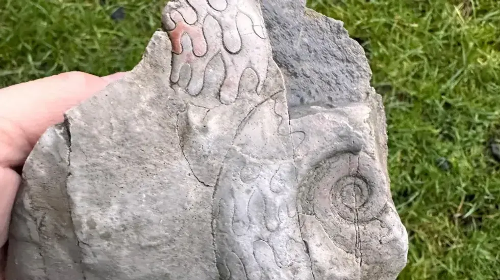 Archaeology discovery unearthed by National Trust as incredible 340 ...