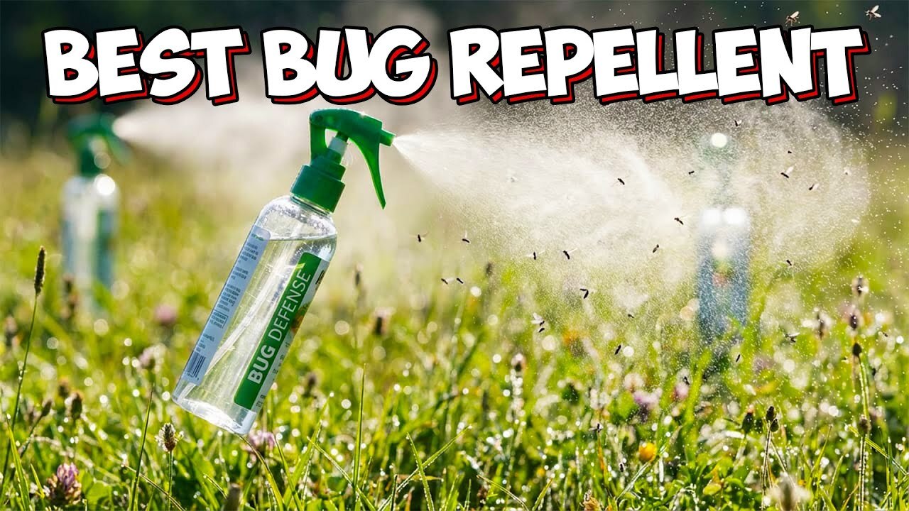 8 best bug repellents that actually work in 2026
