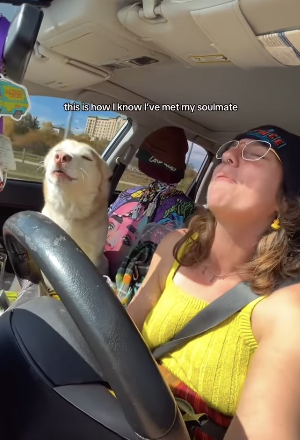 Woman sang in the car and her dog howled along in harmony – ‘This is ...