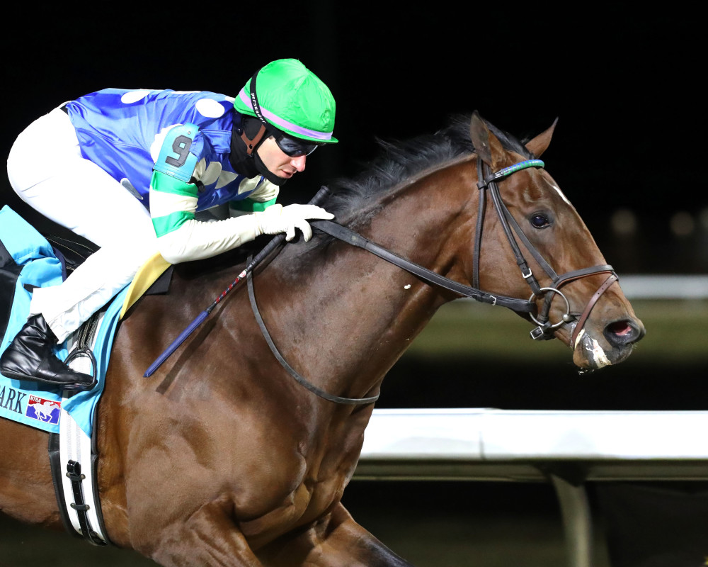 Street Beast romps gate to wire in Leonatus
