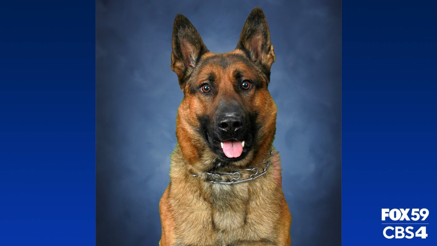 Indiana State Police announce death of retired Lowell post K-9