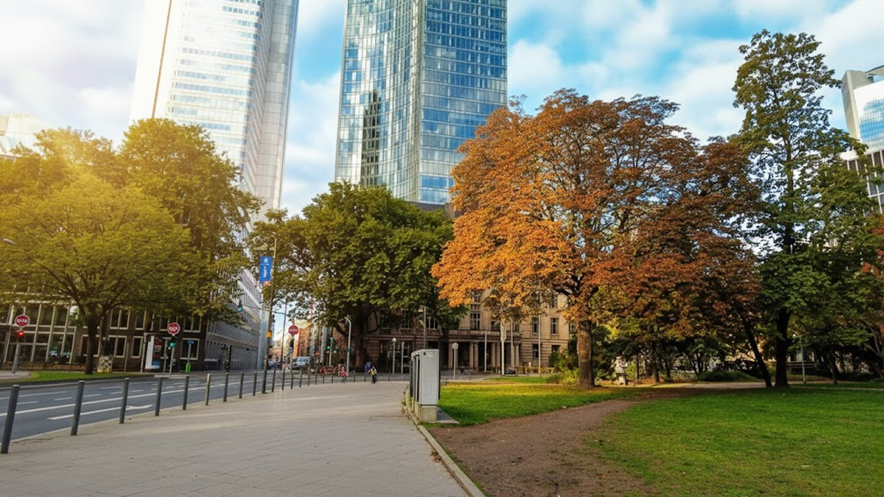 A fresh morning walk through Frankfurt