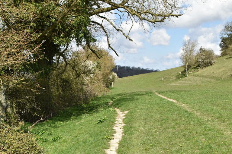 Unique Kent walk passes from cathedral city through ancient wood to ...