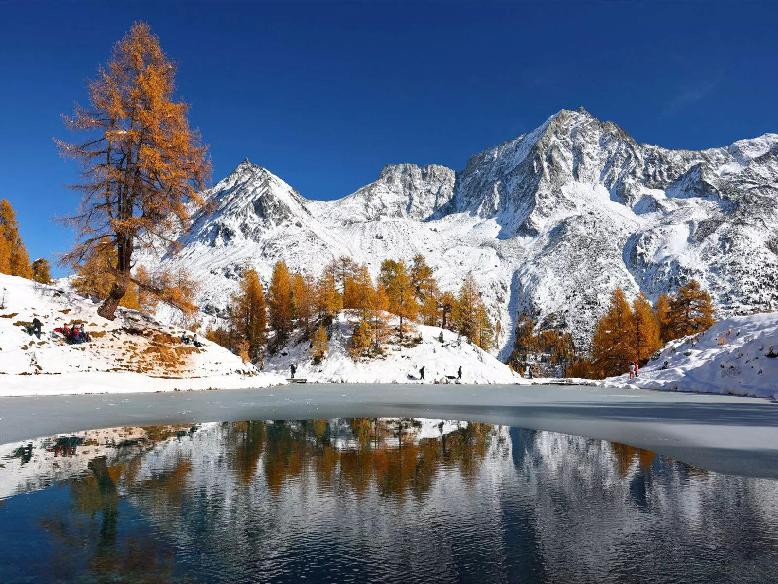 Protesters march through Alpine villages agaisnt World Economic Forum ...
