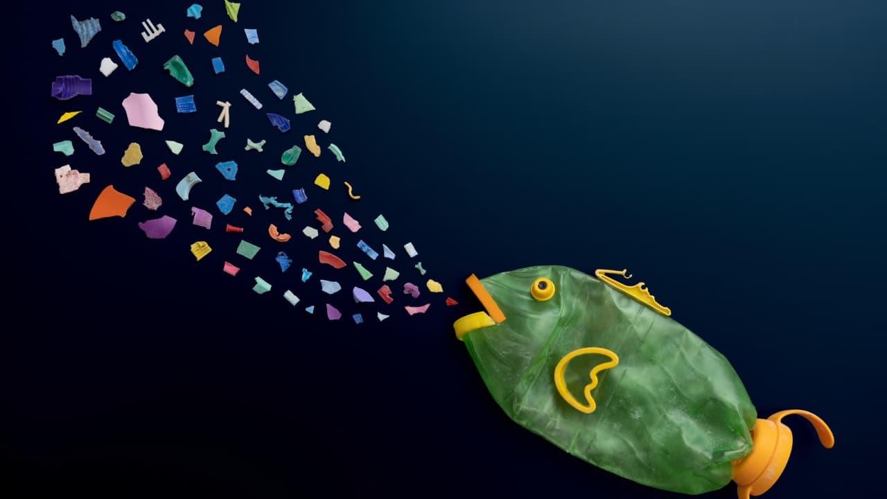 Microplastics are disrupting ocean’s ability to absorb carbon, research ...