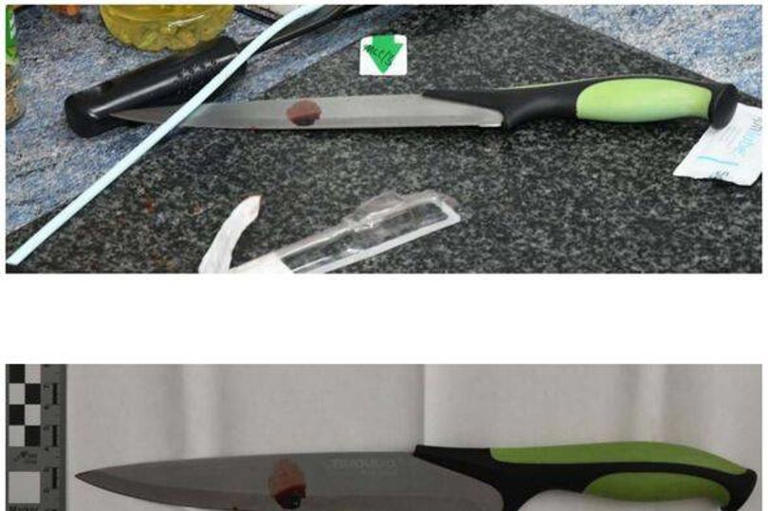 Dad's chilling final words before stabbing daughter to death in 'flash ...