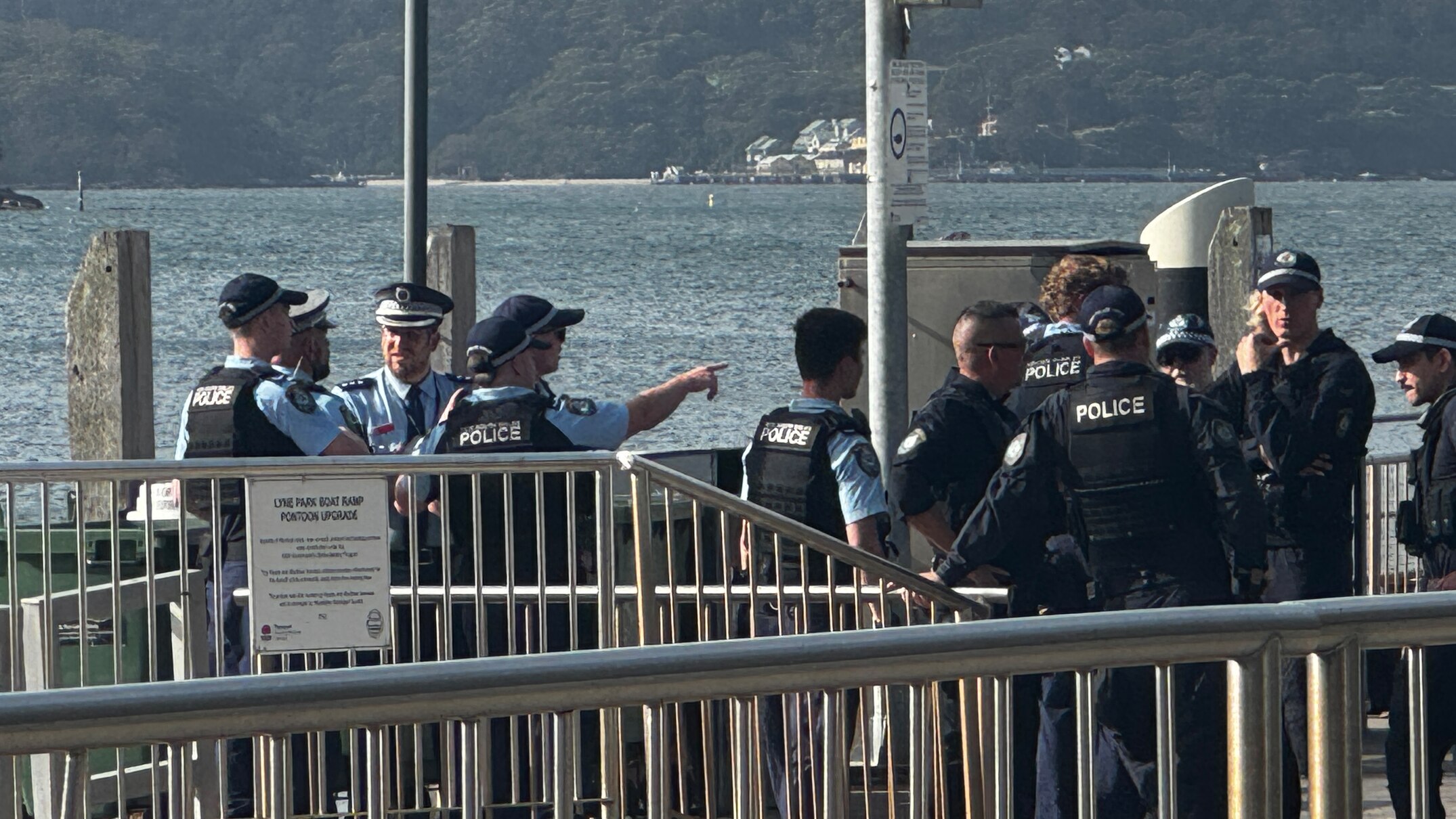 Shark attack at Sydney Harbour beach leaves boy in intensive care with ...