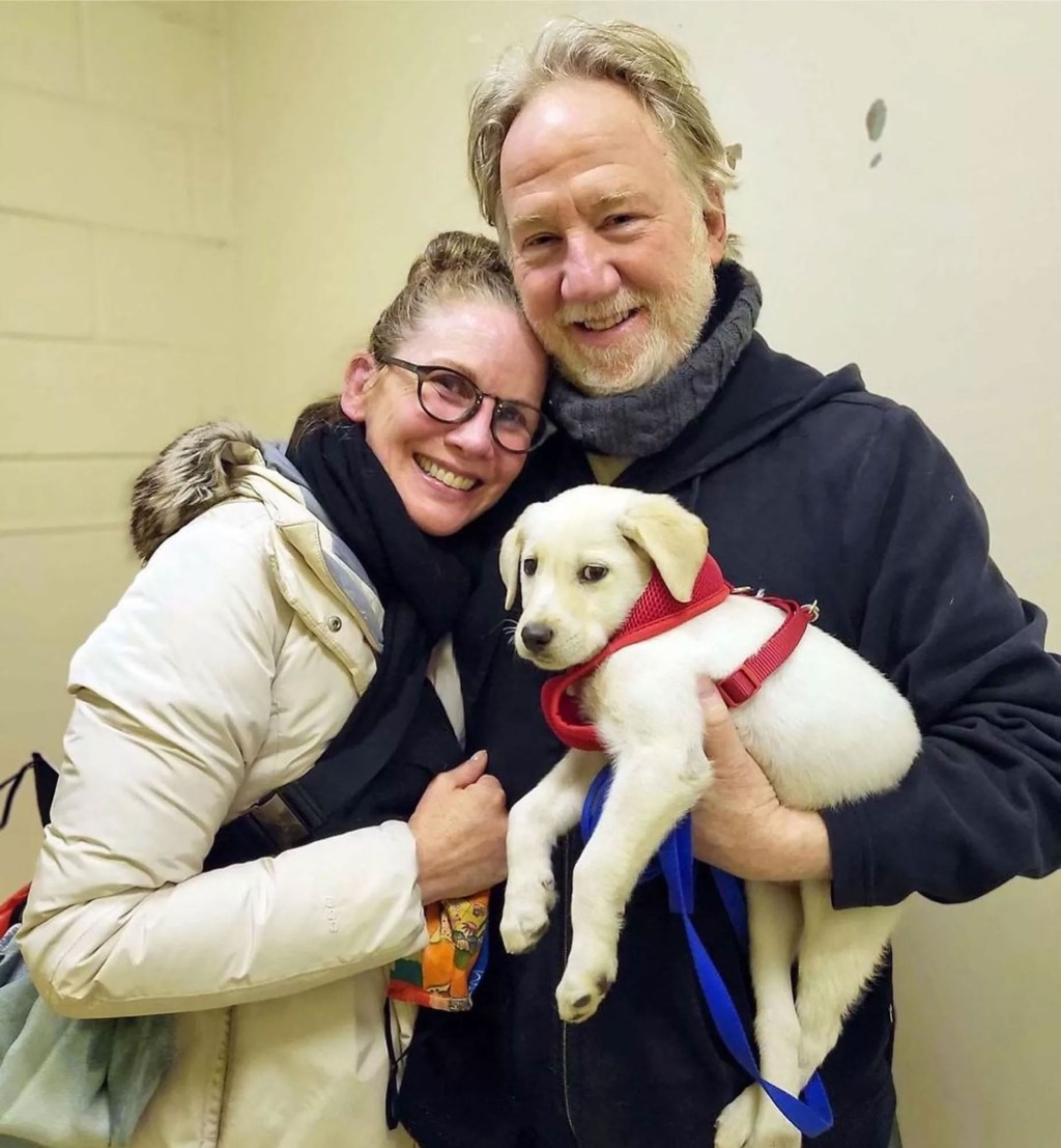 Timothy Busfield’s wife Melissa Gilbert pens letter asking judge to ...