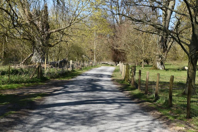 Unique Kent walk passes from cathedral city through ancient wood to ...