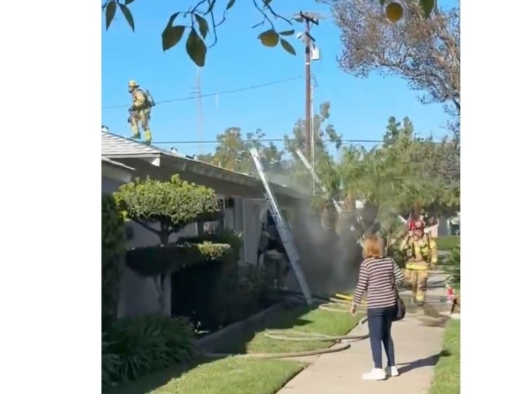 Party mom pressured teens into drunken sex: DA | Man forced to bury dog ...