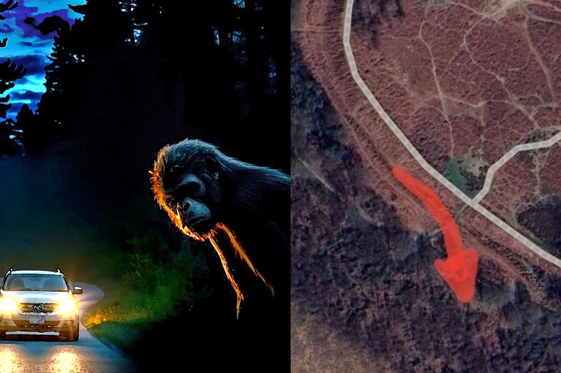 'Bigfoot' sighting at Cannock Chase as dad says 'it moved so fast'