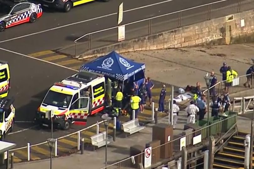 Shark attack leaves boy, 12, fighting for his life with 'serious' leg ...