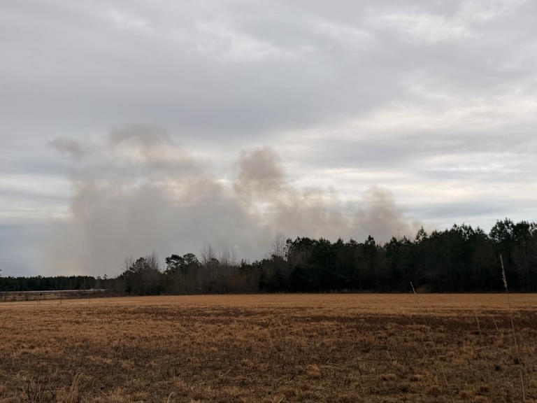 Brush fire shut down lanes on Route 621 East and West