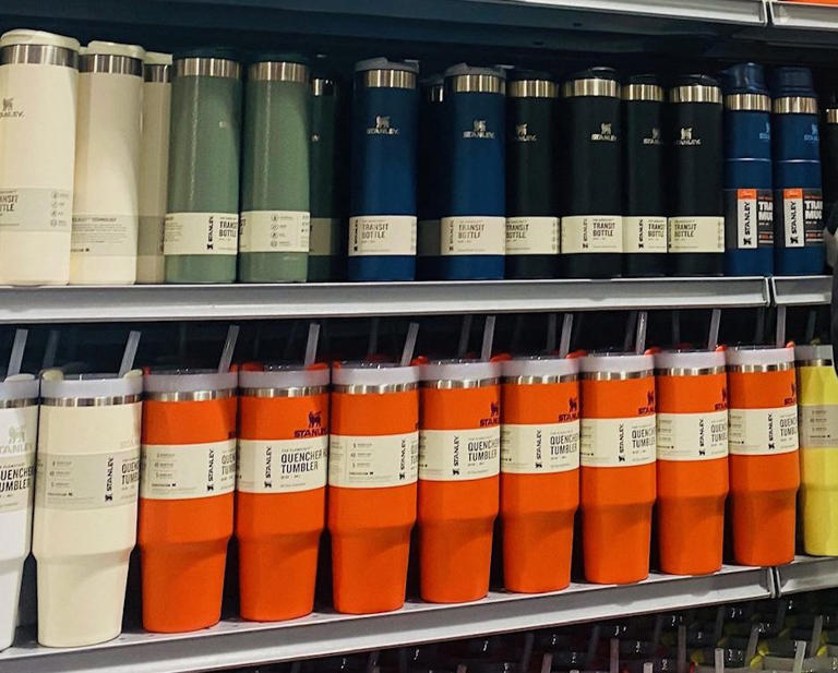 Dollar Tree Stanley dupe is just like the real thing