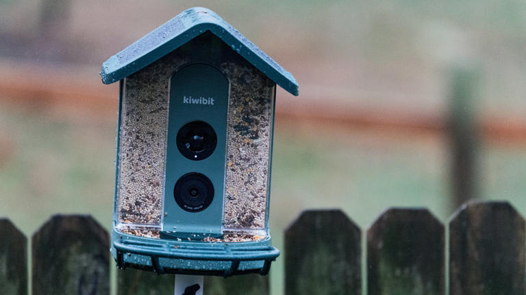 Kiwibit Beako 4K smart bird feeder with solar roof