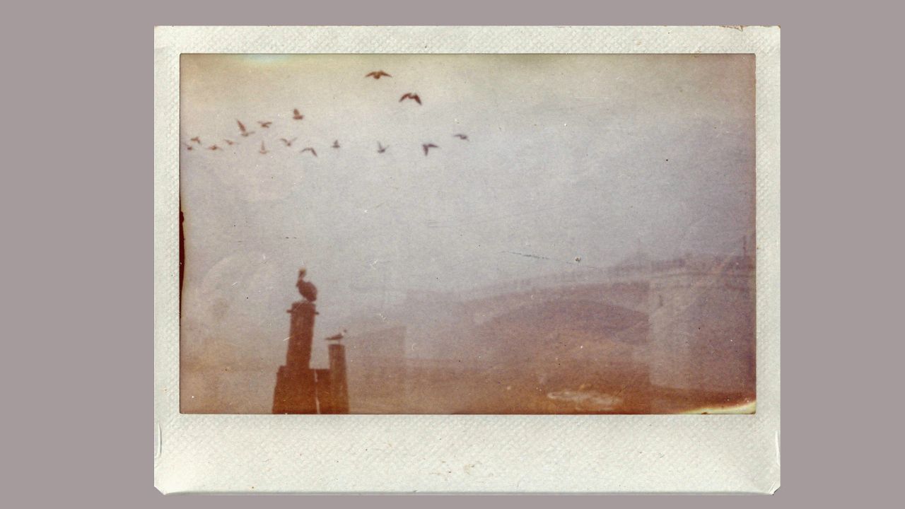 Make this look like film. I tried VSCO’s new AI prompt photo editing ...