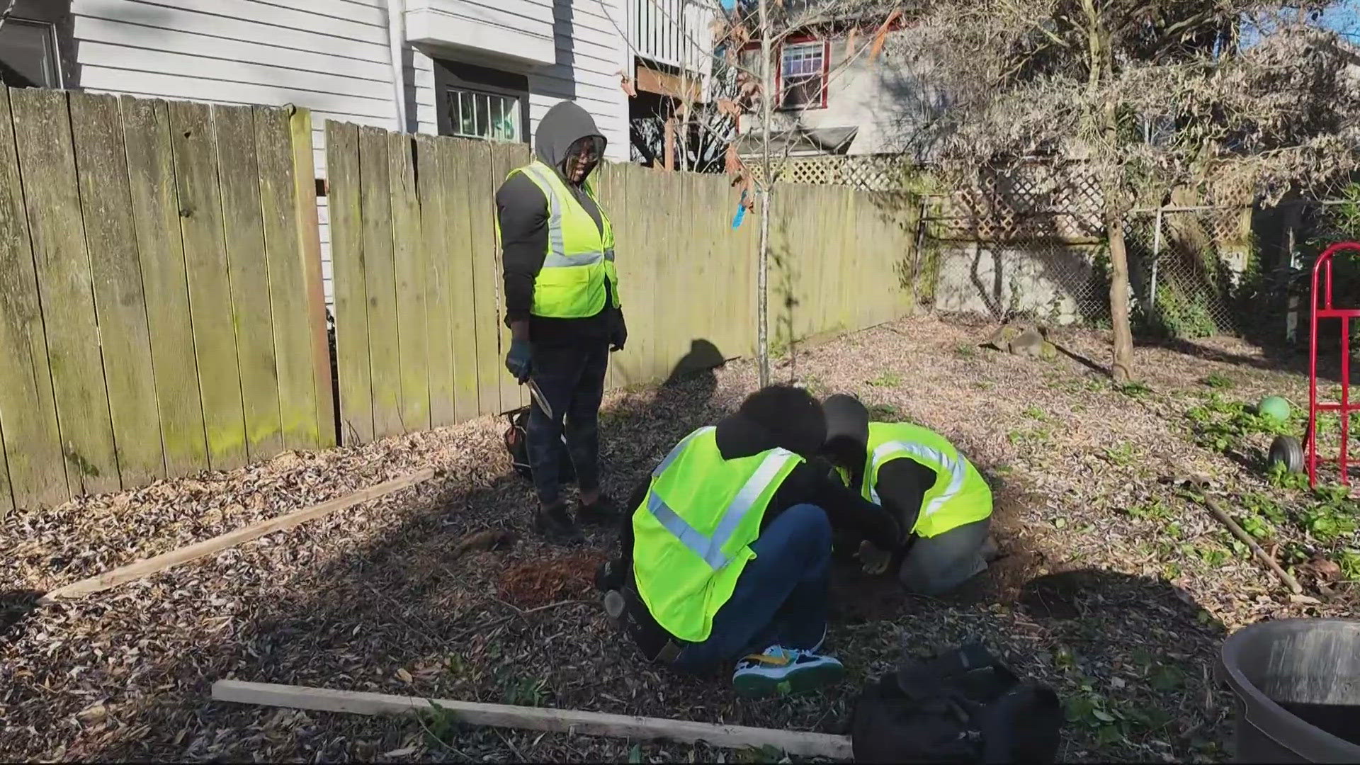 More than 70 trees planted in Northeast Portland corridor