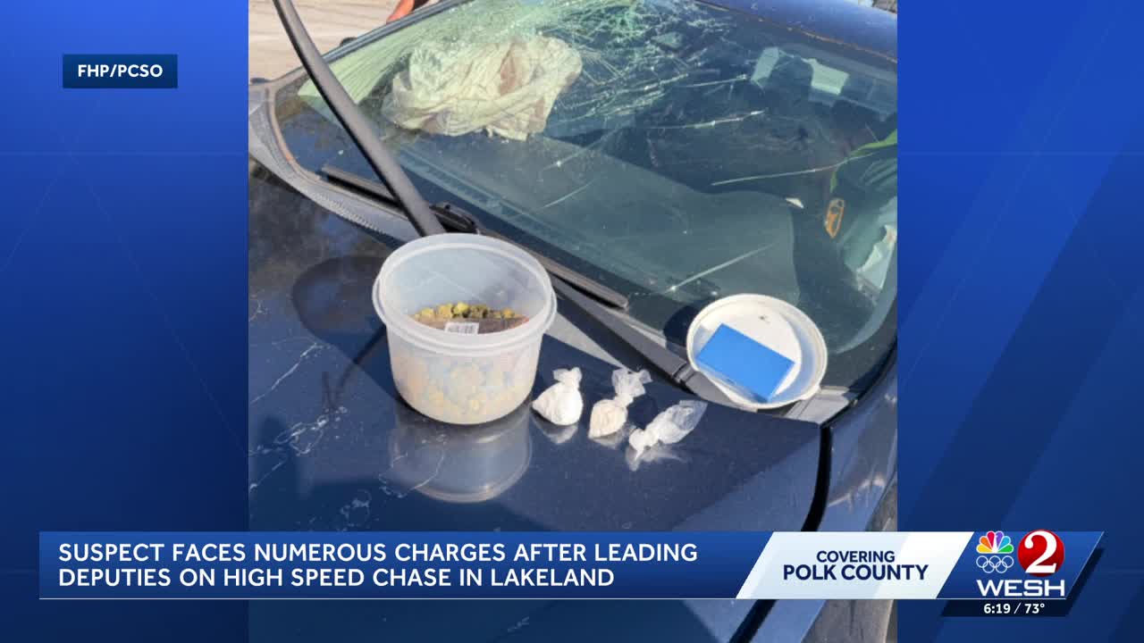 Tampa man arrested after high-speed chase ends in crash in Polk County