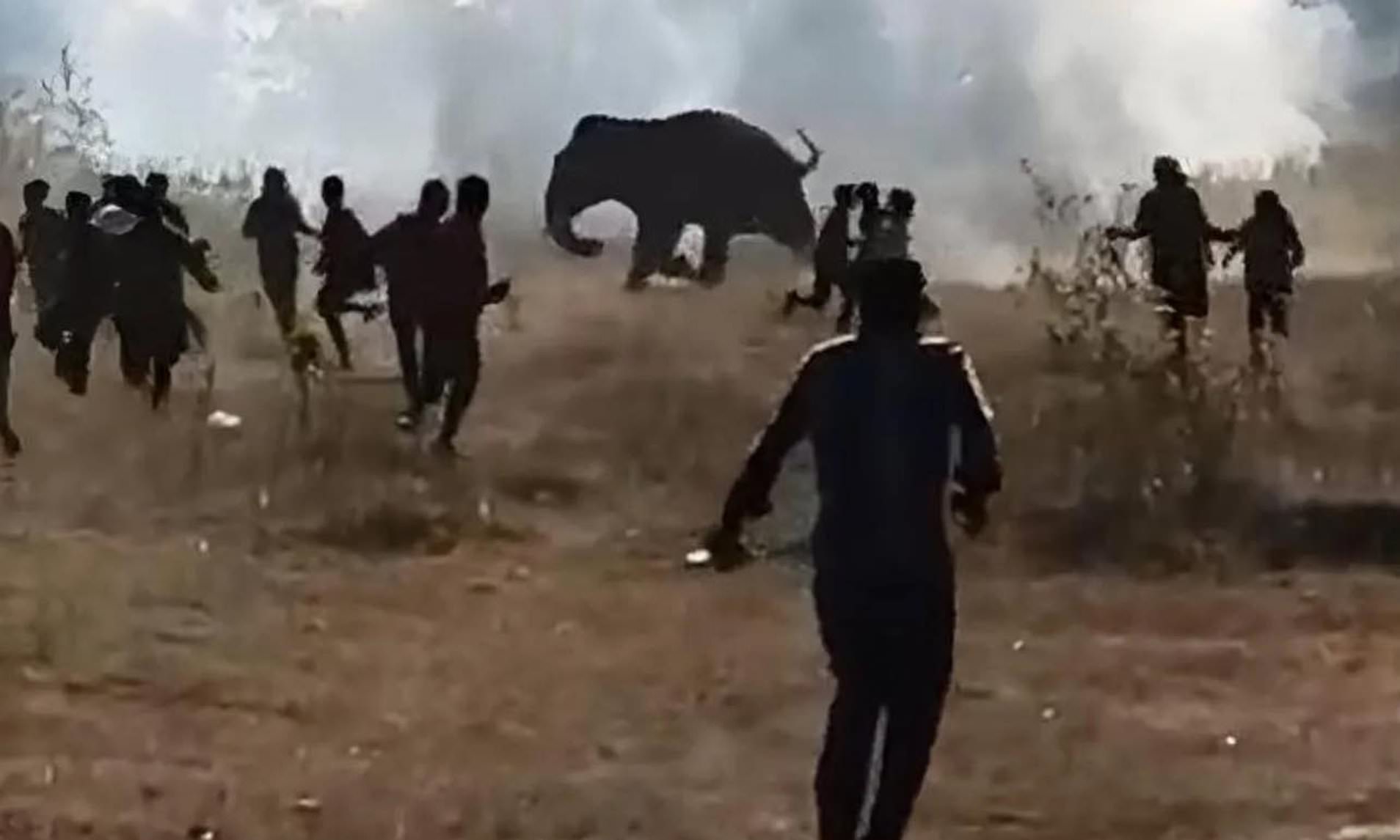 Rampaging elephant which has killed 22 people forces Indian villagers ...