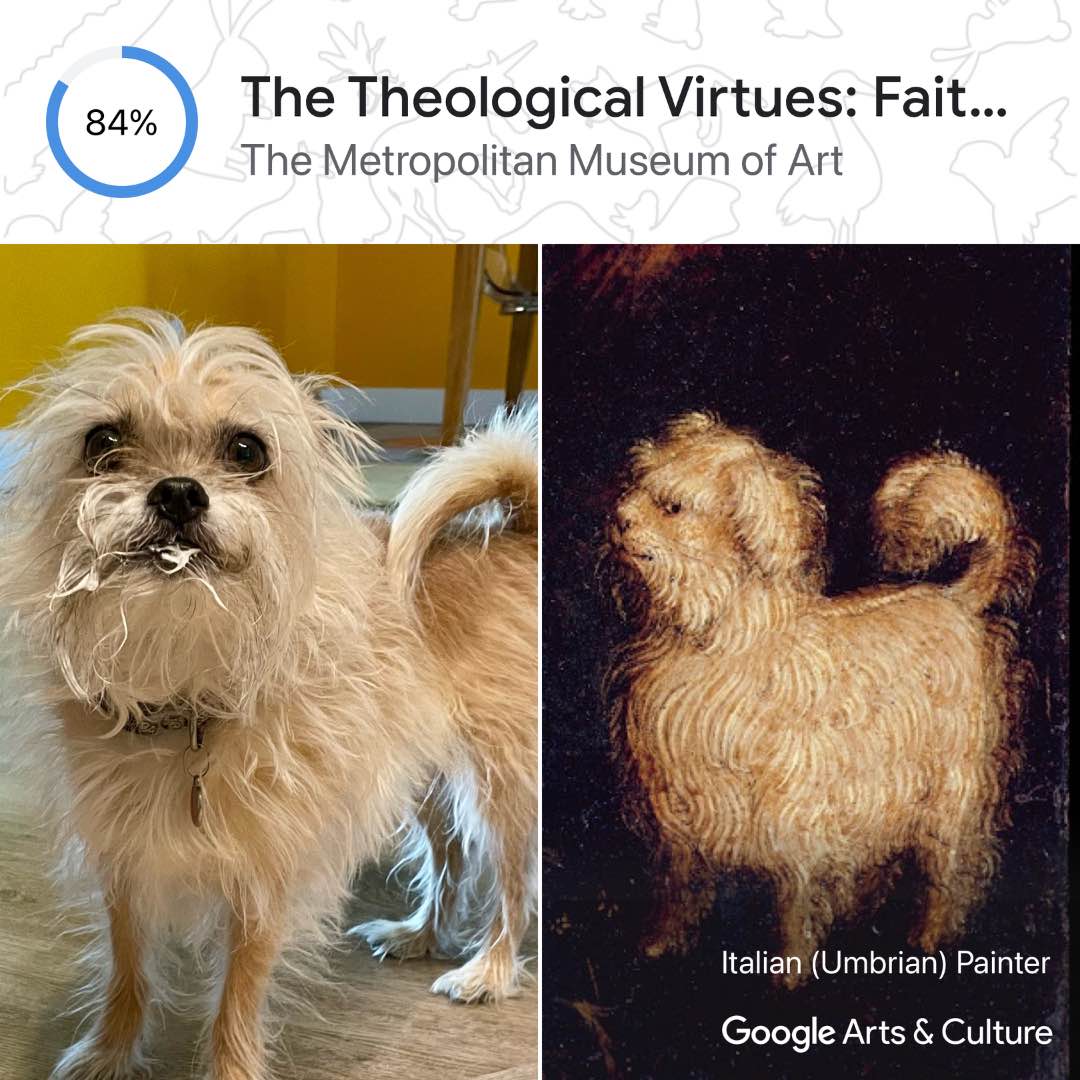 Find your pet's classic art doppelgänger with this fun app