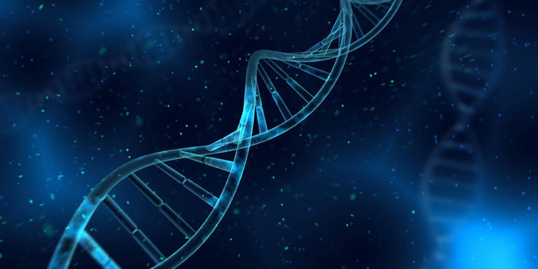 Elite army training reveals genetic markers for resilience