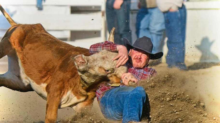 Semi-finals qualifiers shake up round leaderboards in bracket 2 at NWSS