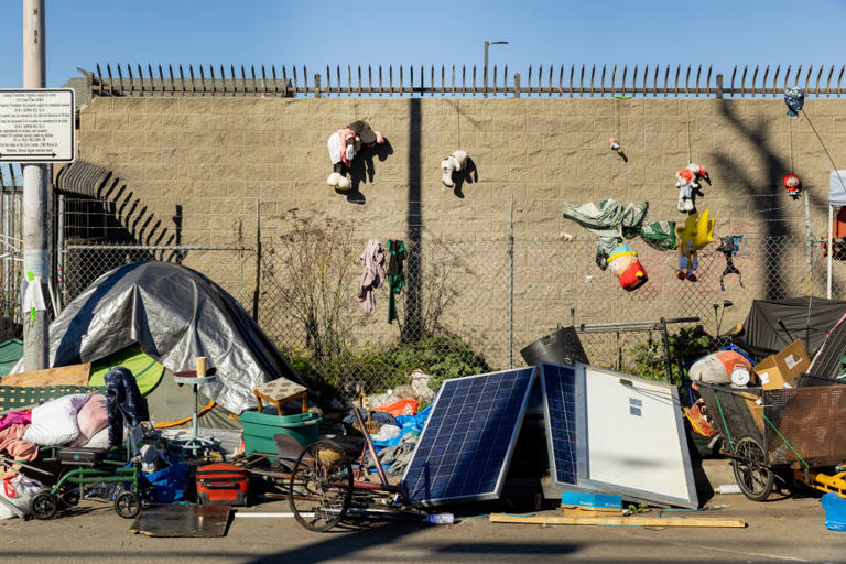 Frightening reality of California’s homeless epidemic laid bare as ...