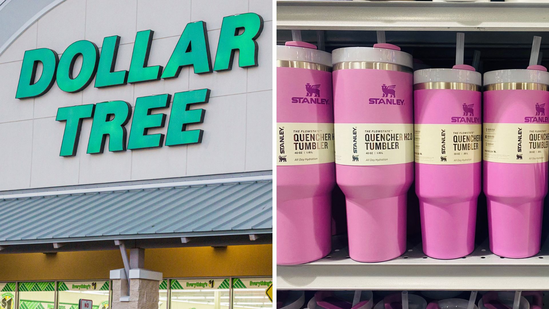 Dollar Tree Stanley dupe is just like the real thing