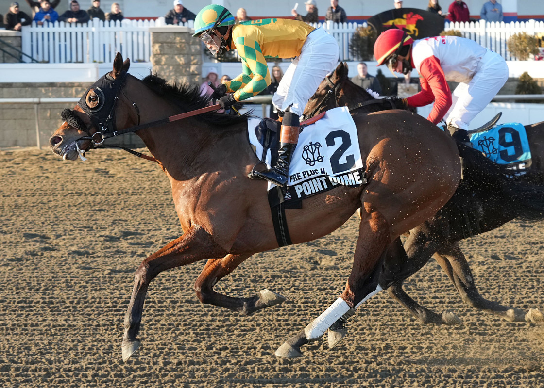 'He doesn't give up; that's like me': Point Dume game in emotional Fire ...