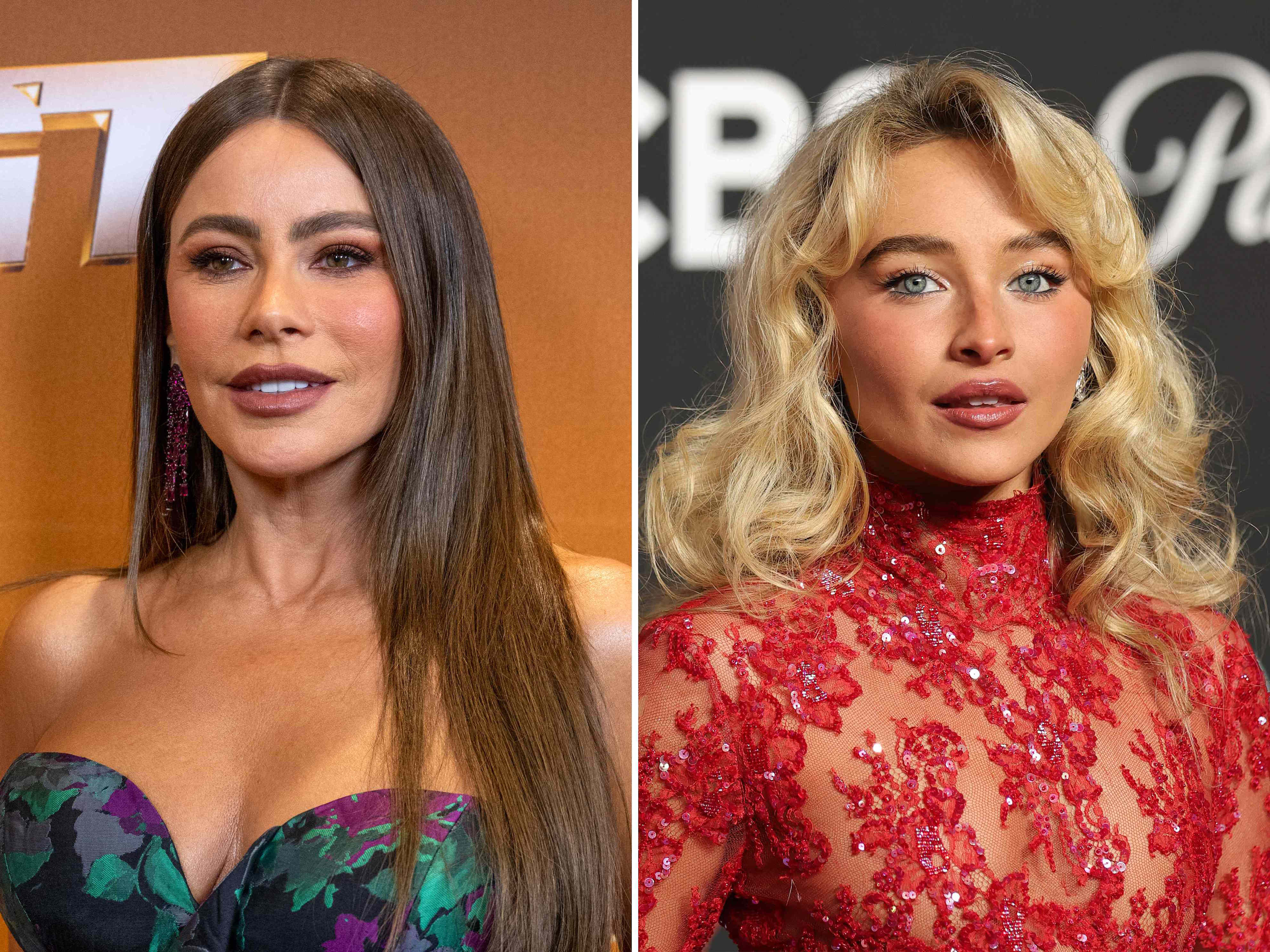 Sofía Vergara, 53, elevated frumpy basics with the rich-girl bag ...