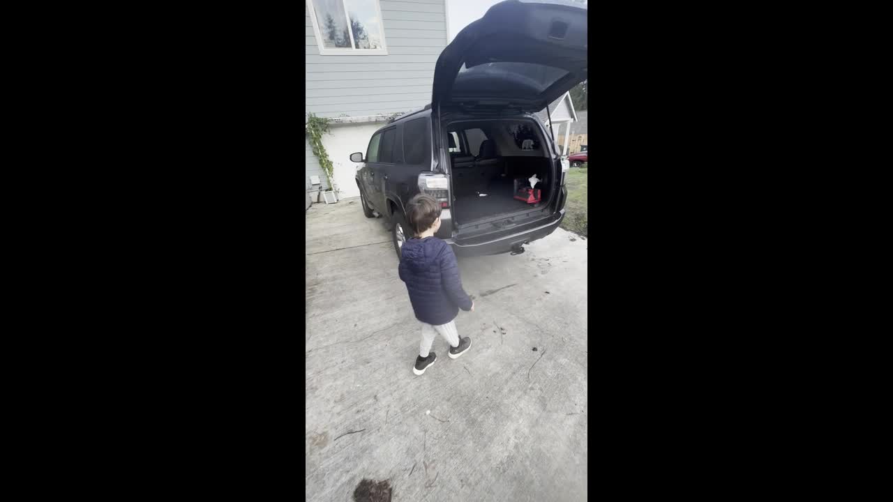Bernese mountain dog finally obeys after hearing full name in viral PNW ...