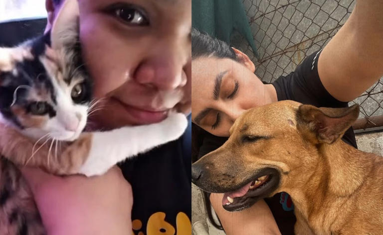 Nuestra misión no se detiene: Fundación Laika celebra 15 años de ...