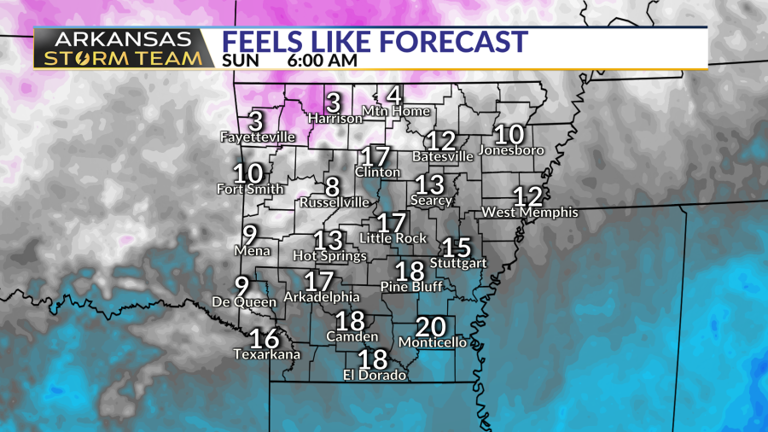 Arkansas Storm Team forecast: Winter is back, but wildfire danger remains