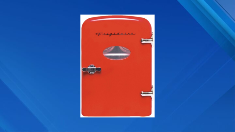Fire and burn risks prompt recall of minifridges sold at Target