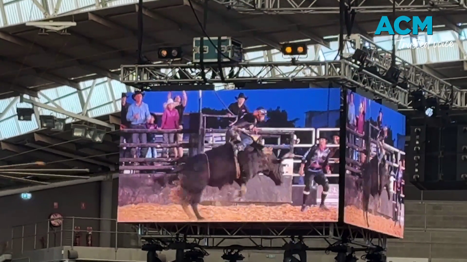 High-octane bull riding in Tamworth
