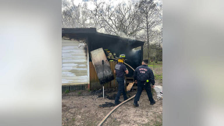 Woman, animals rescued from Old Town Spring house fire, officials say