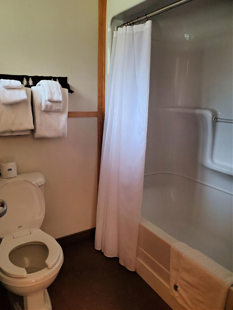 Canyon Lodge Western Cabins: Rustic comfort in Yellowstone