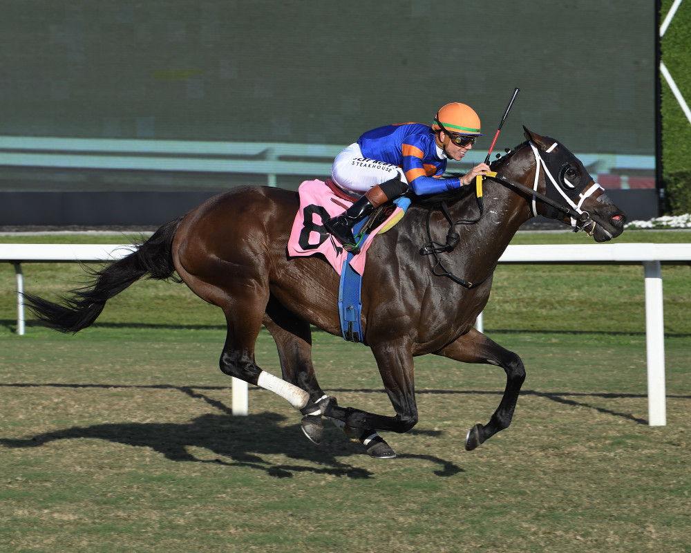 Gulfstream Park: Neoequos rolls home in grass debut in Sunshine Turf ...